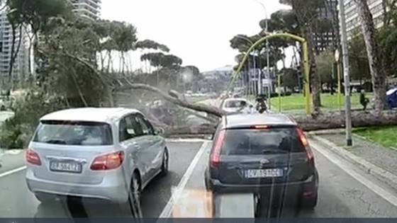 Paura a Roma, albero cade su due auto: un ferito • Imola Oggi Paura a Roma, albero cade su due auto: un ferito • Imola Oggi